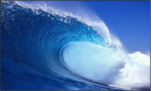 A November Wave Depends On Us - Equal Voice Voting
